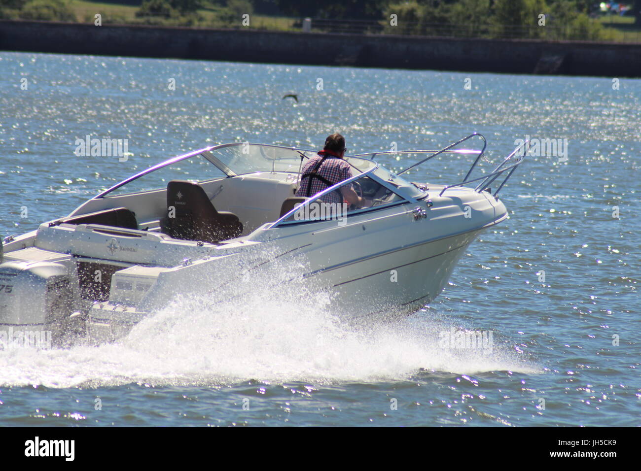 speed boat, boat, fast boat, boat speeding, boats, boating, powerboat ...