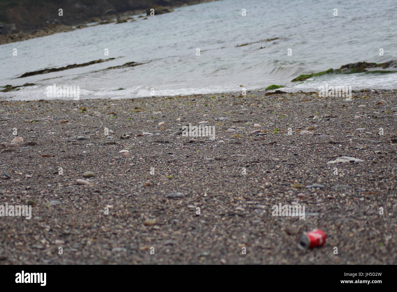 coke can on beach, litter on beach, can on beach, rubbish on beach ...