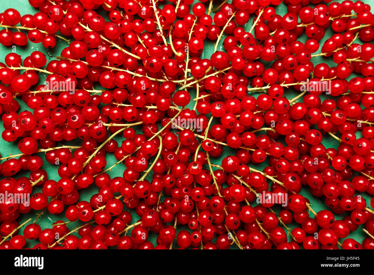 Background of ripe juicy red currant berries. top view Stock Photo - Alamy