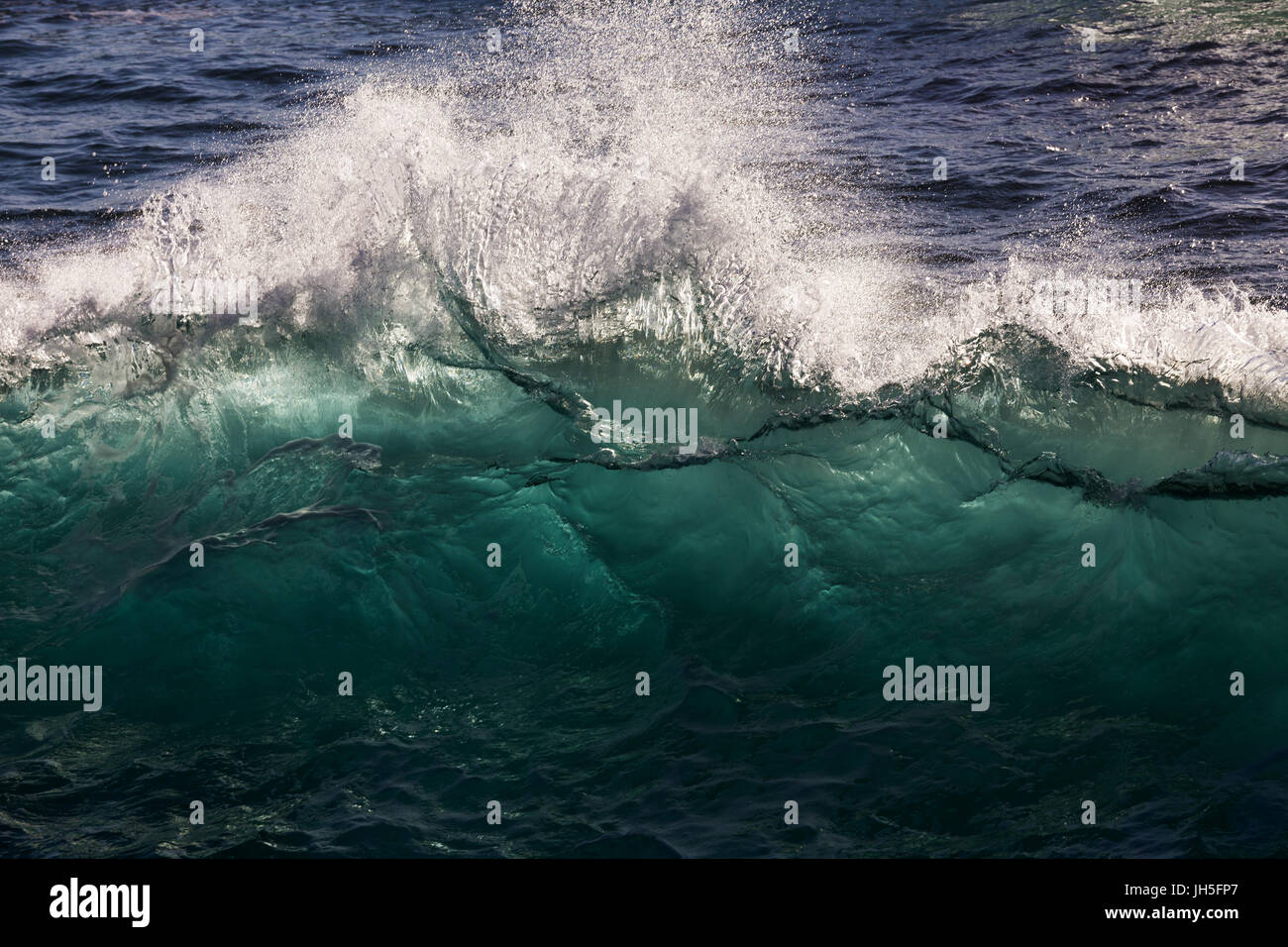 A cresting wave is back lit by bright sun light, revealing the luminous ...