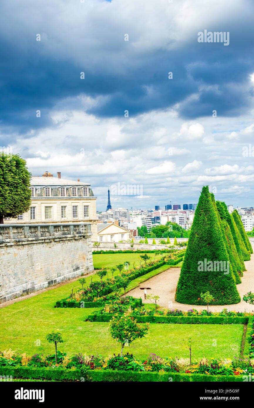 Beautiful rows of yew trees within Parc Saint-Cloud located mostly ...
