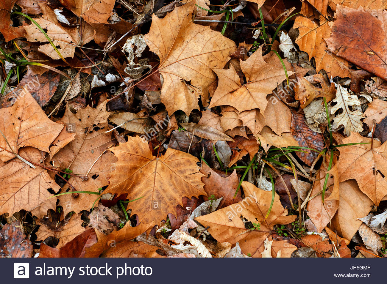 Dead Spots High Resolution Stock Photography and Images - Alamy