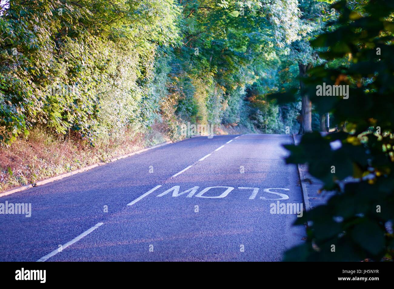 Bend in road sign hi-res stock photography and images - Alamy