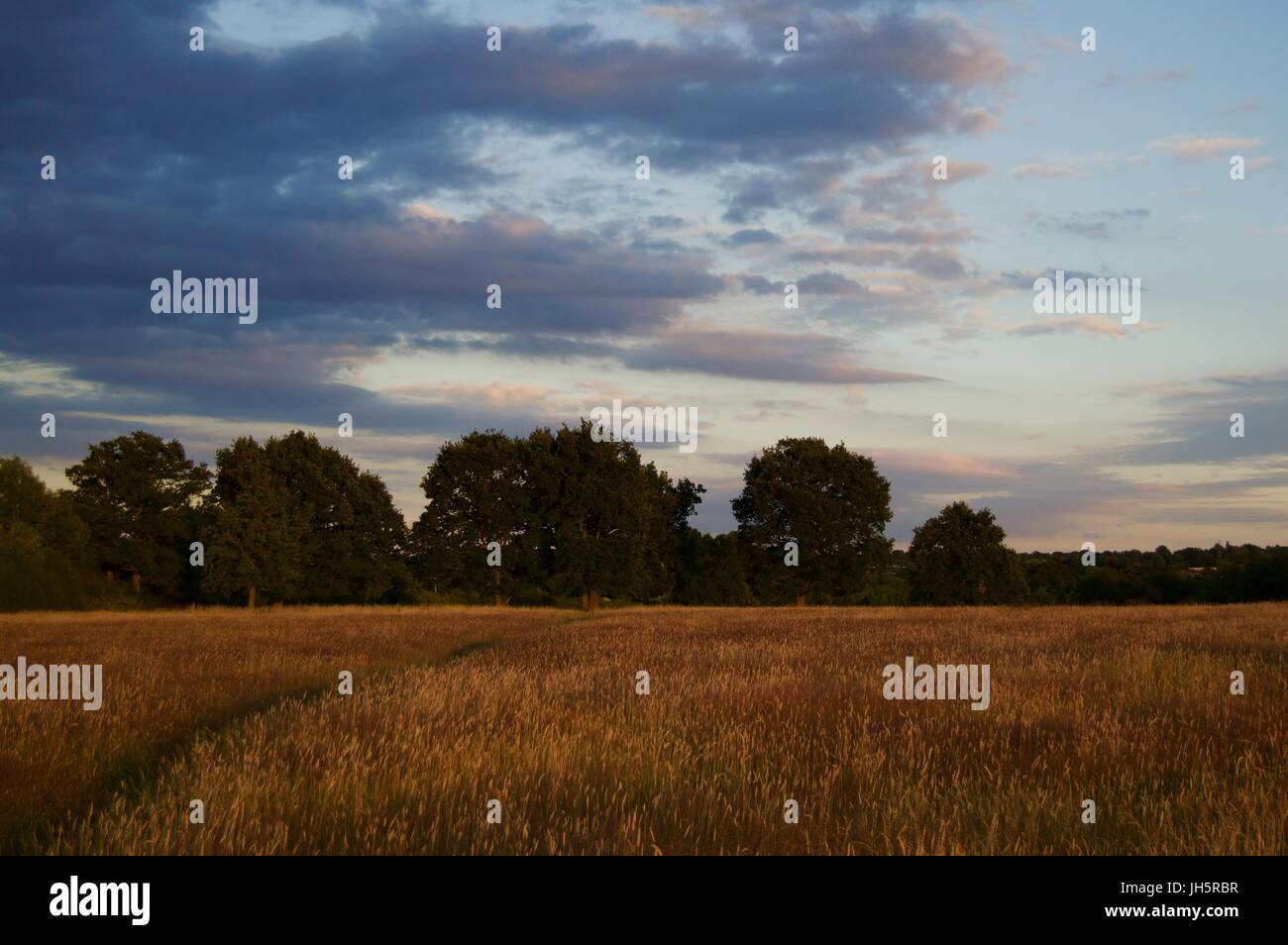 Bushey hi-res stock photography and images - Alamy