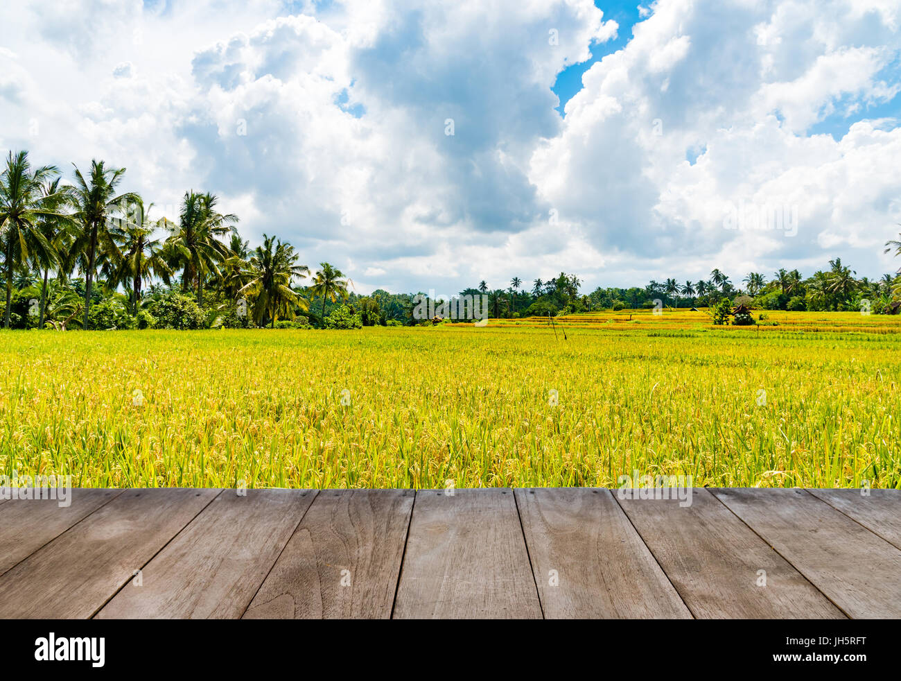 Perspective empty wooden table in front of rice fields and coconut ...