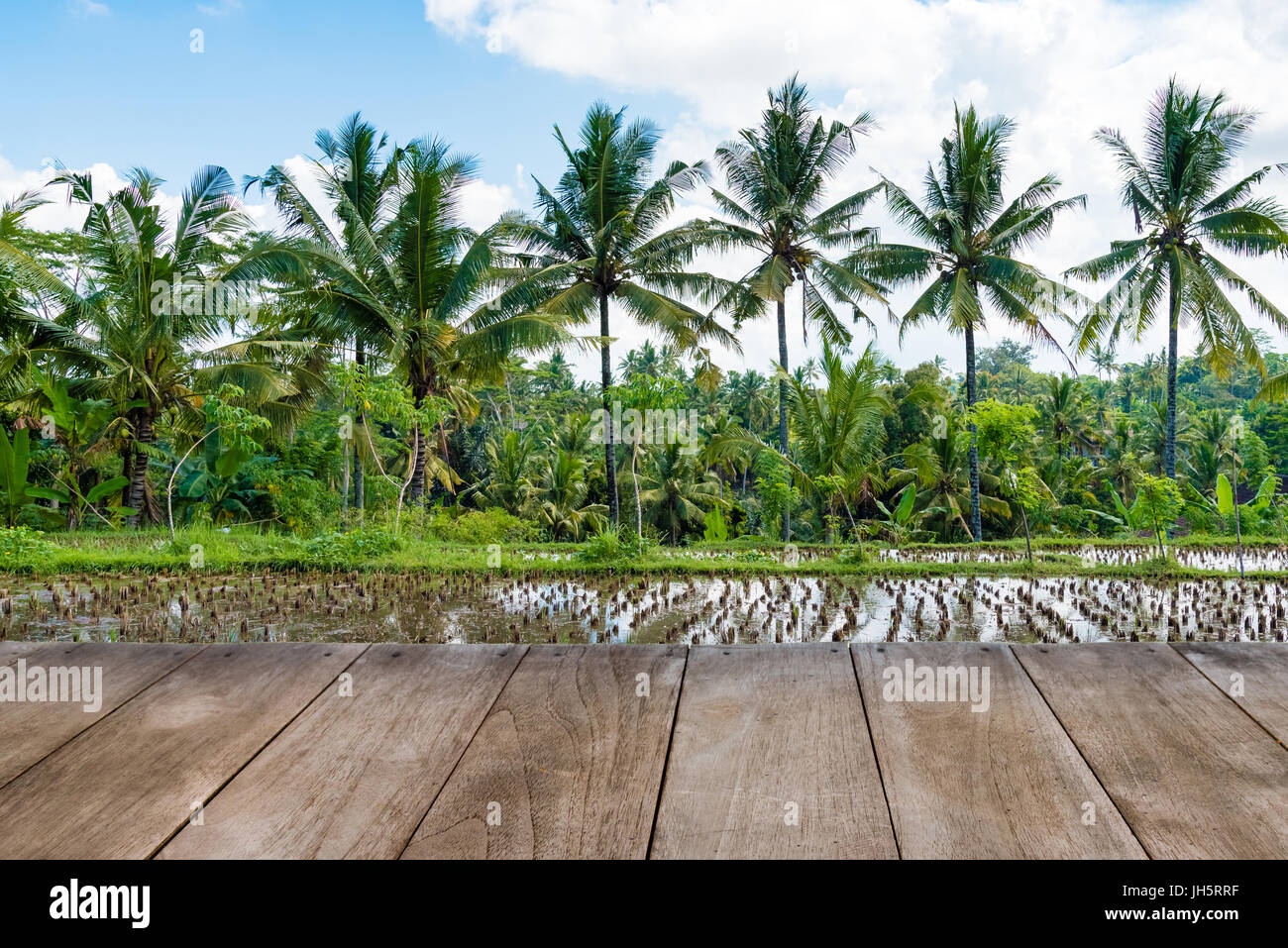Perspective empty wooden table in front of harvested rice field and ...