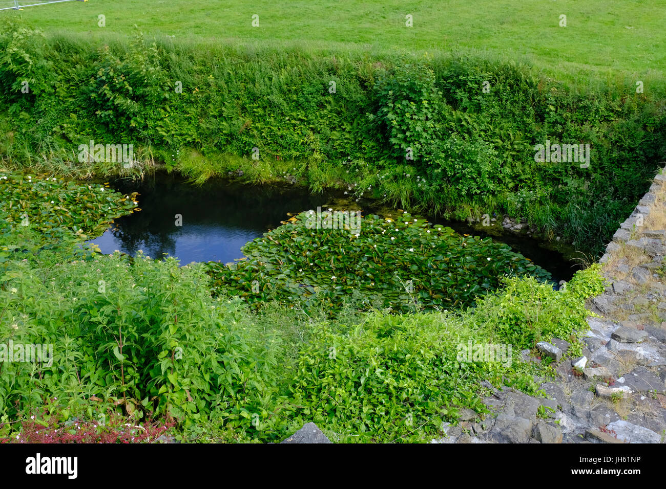 Moat around Cardiff Castle, Cardiff, Wales Stock Photo - Alamy