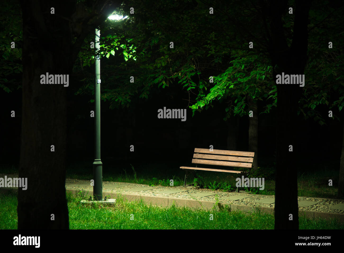 The light from a lamppost shinning onto a wooden bench and the ...