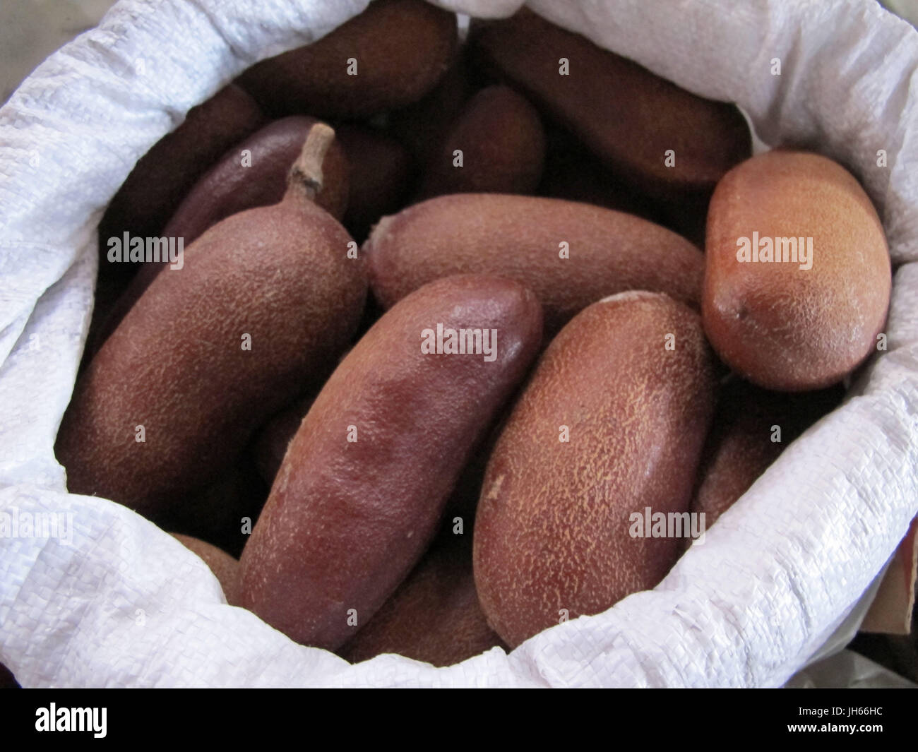 Jatoba fruit hi-res stock photography and images - Alamy
