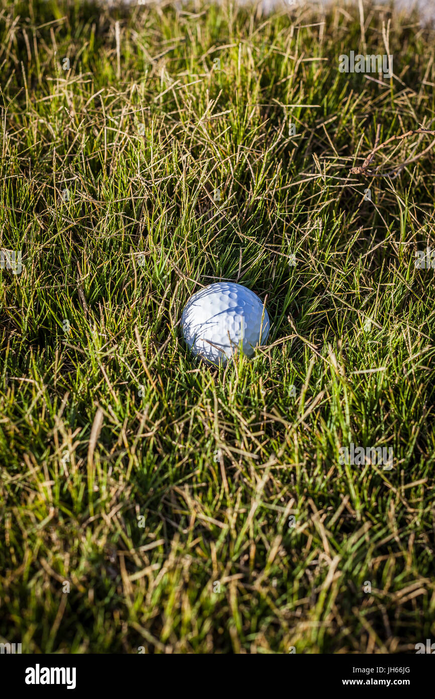 Lost golf ball hi-res stock photography and images - Alamy