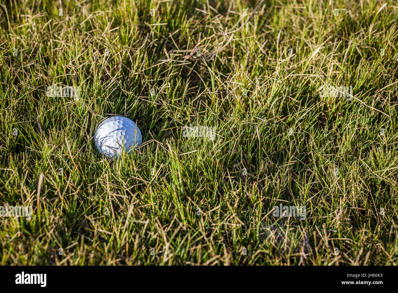 Lost golf ball hi-res stock photography and images - Alamy