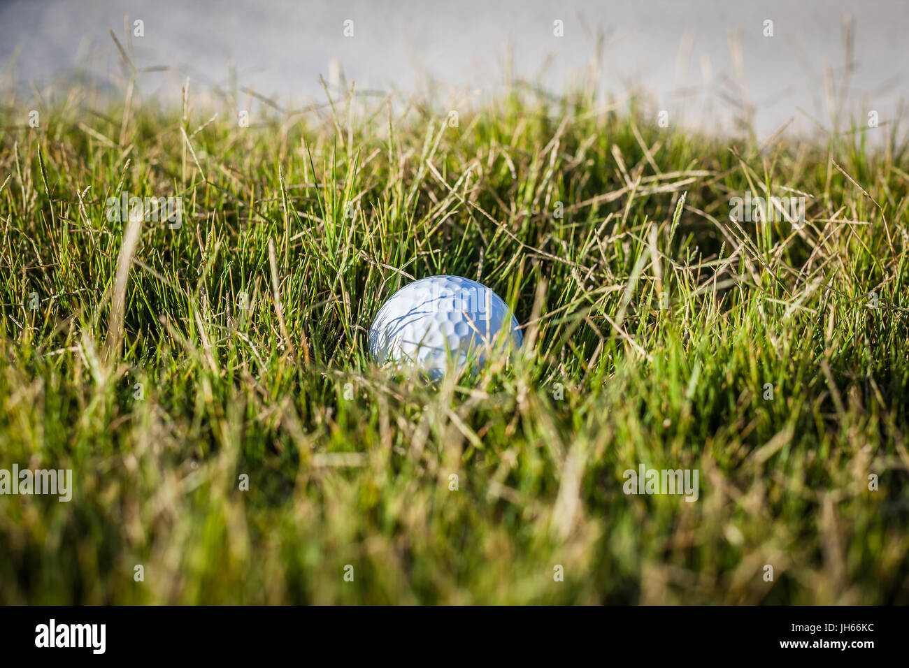 Thick course grass hi-res stock photography and images - Alamy