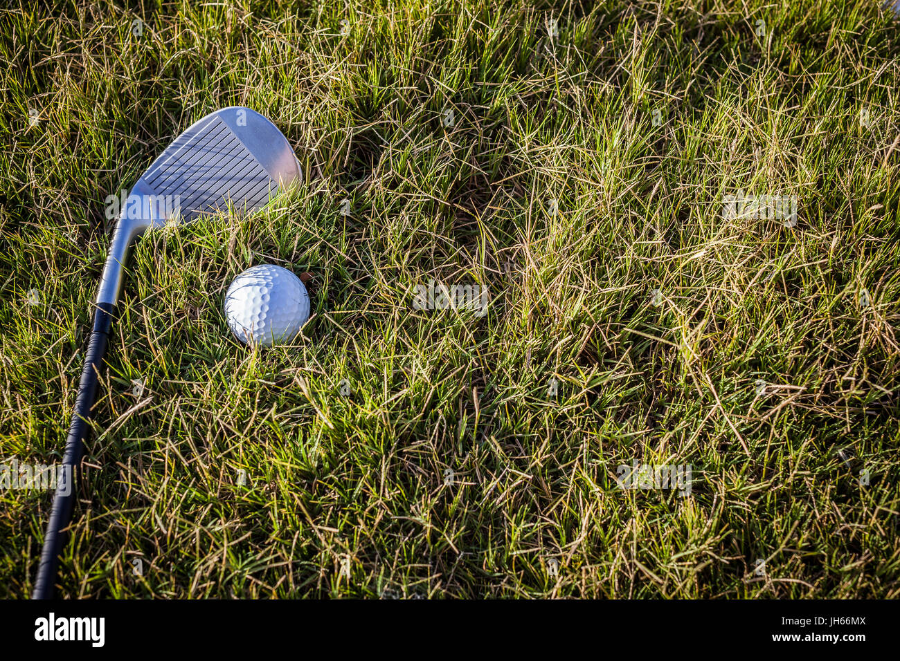 Golf ball in the rough grass with a wedge golf club next to it Stock ...