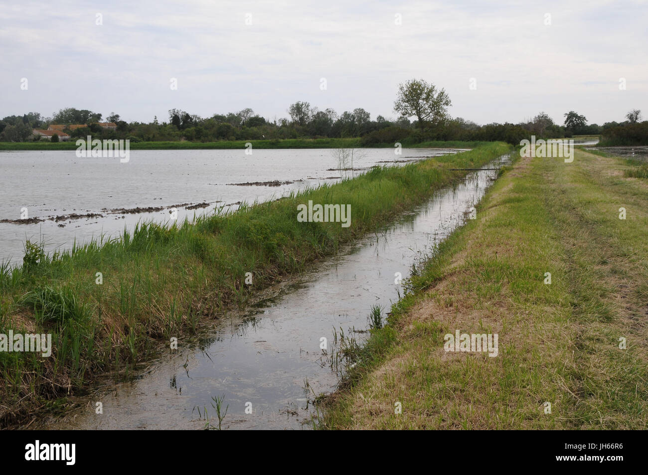 Salty rhone river delta hi-res stock photography and images - Alamy