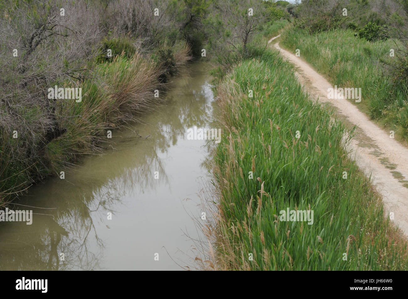 Rhone river delta hi-res stock photography and images - Alamy
