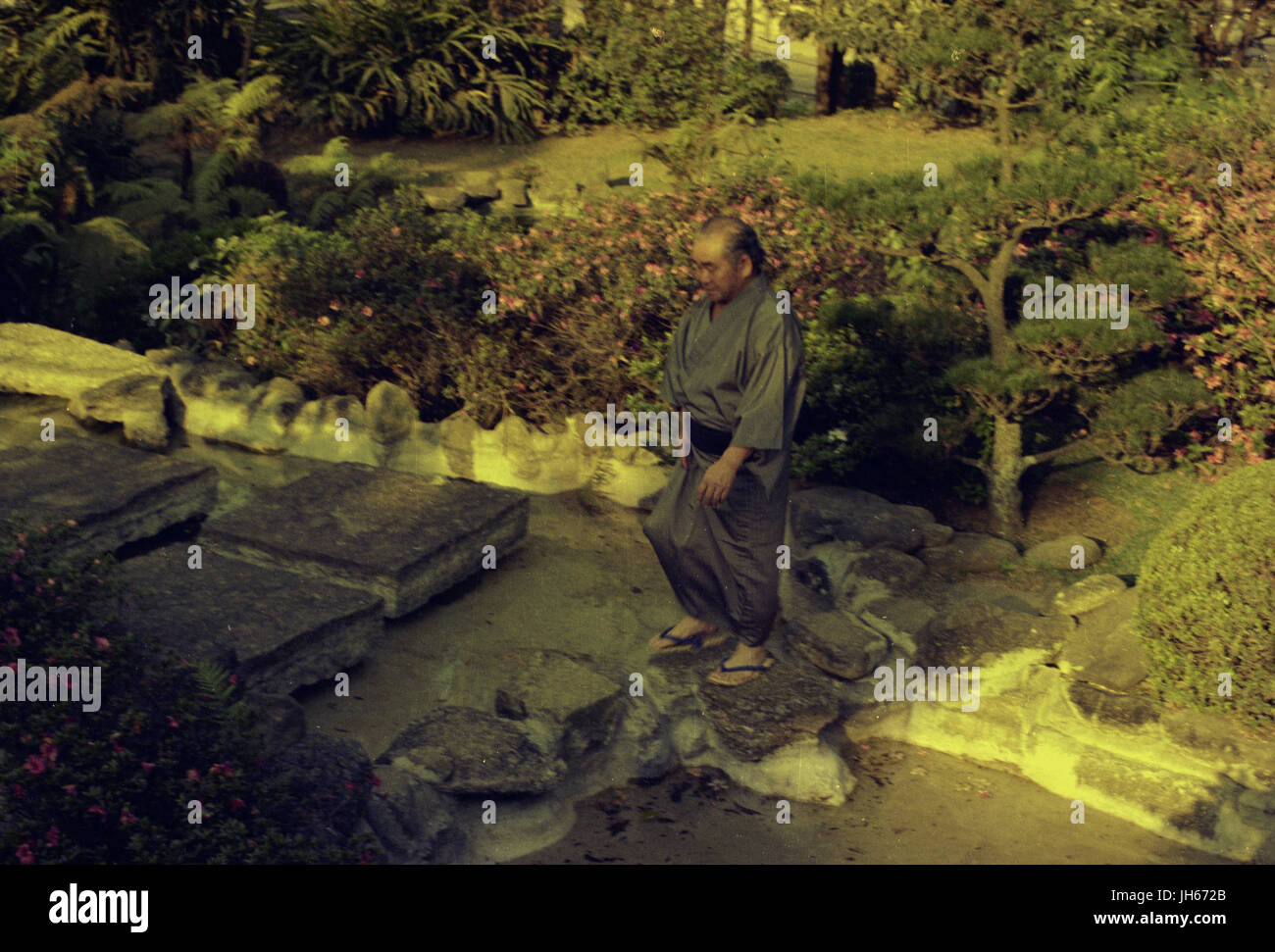 Painter, artist, Manabu Mabe, São Paulo, Brazil Stock Photo - Alamy