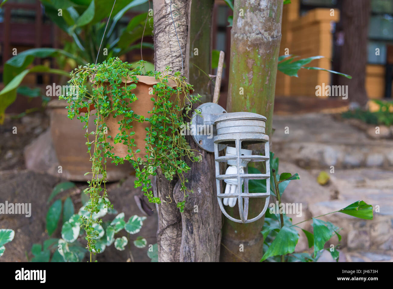 Old lamp on a short wooden pole with grass and tree in tropical garden ...