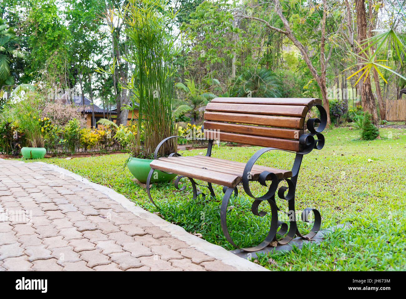Empty park bench, wooden bench in garden or park outdoor with tree and ...