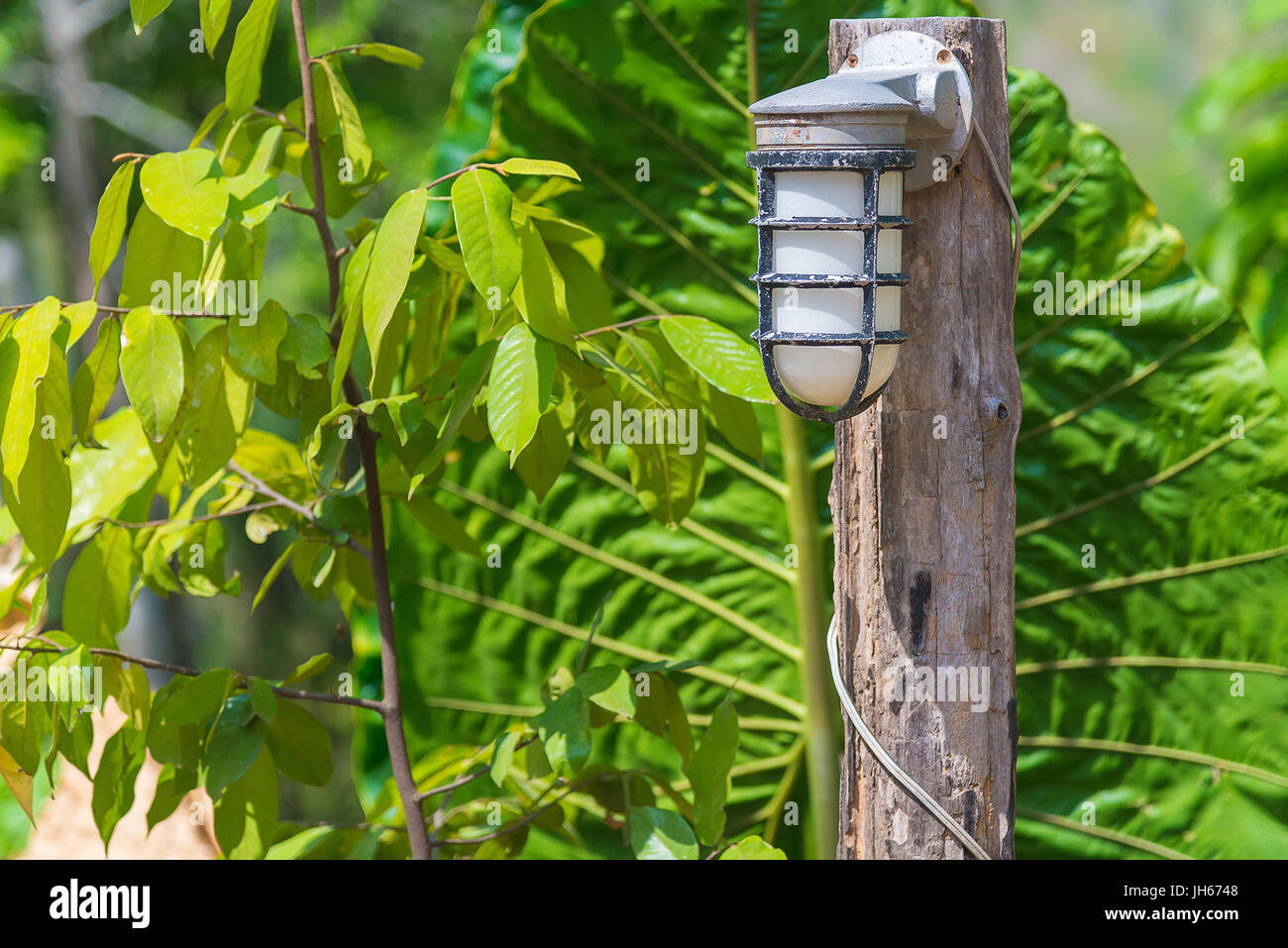 Old lamp on a short wooden pole with grass and tree in tropical garden ...