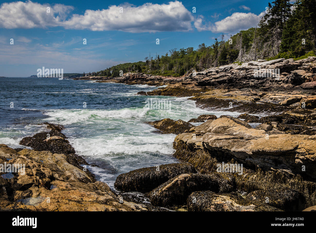 Scenic rocky shoreline in La Verna Preserve in Bristol, Maine Stock ...