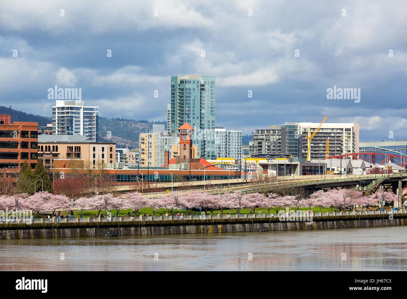 Cherry blossom pacific northwest hi-res stock photography and images ...