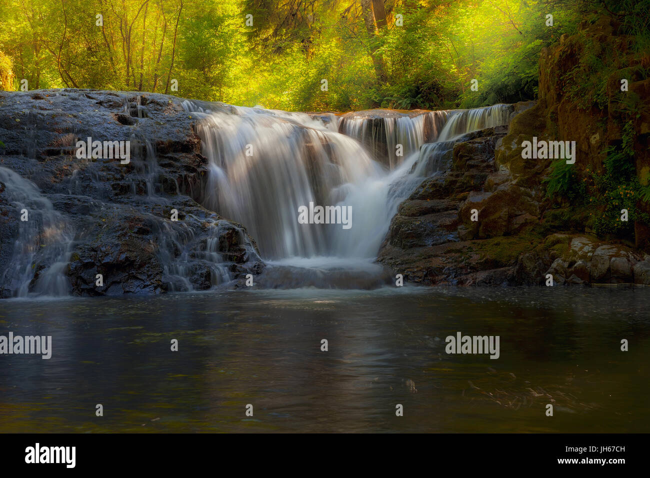 Waterfall along Sweet Creek Hiking Trail Complex in Mapleton Oregon ...
