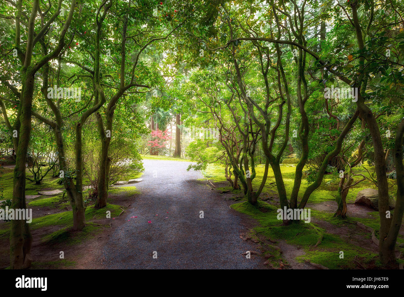Garden path at Portland Japanese Garden in Spring Stock Photo - Alamy