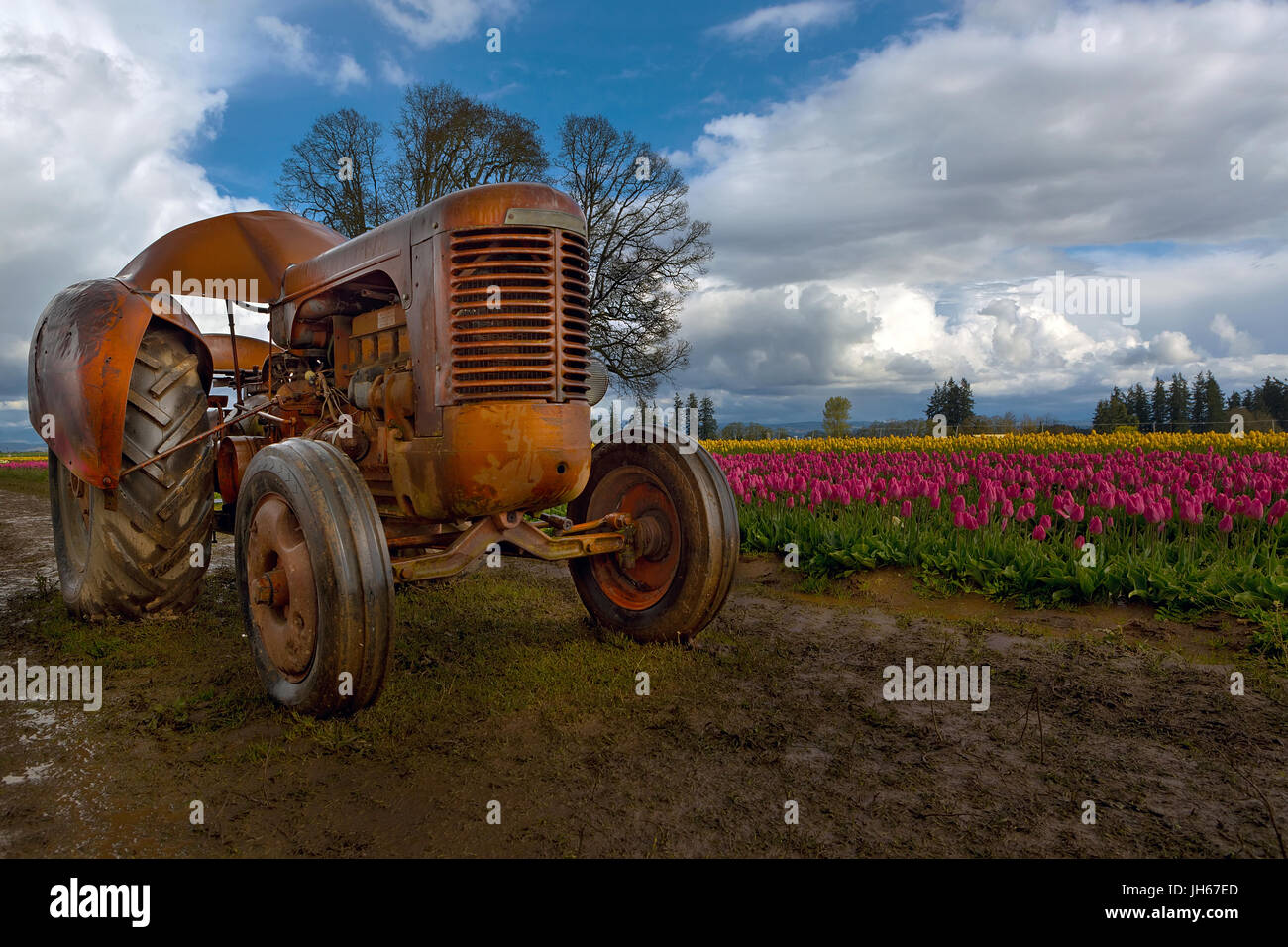 Orange tractor hi-res stock photography and images - Alamy