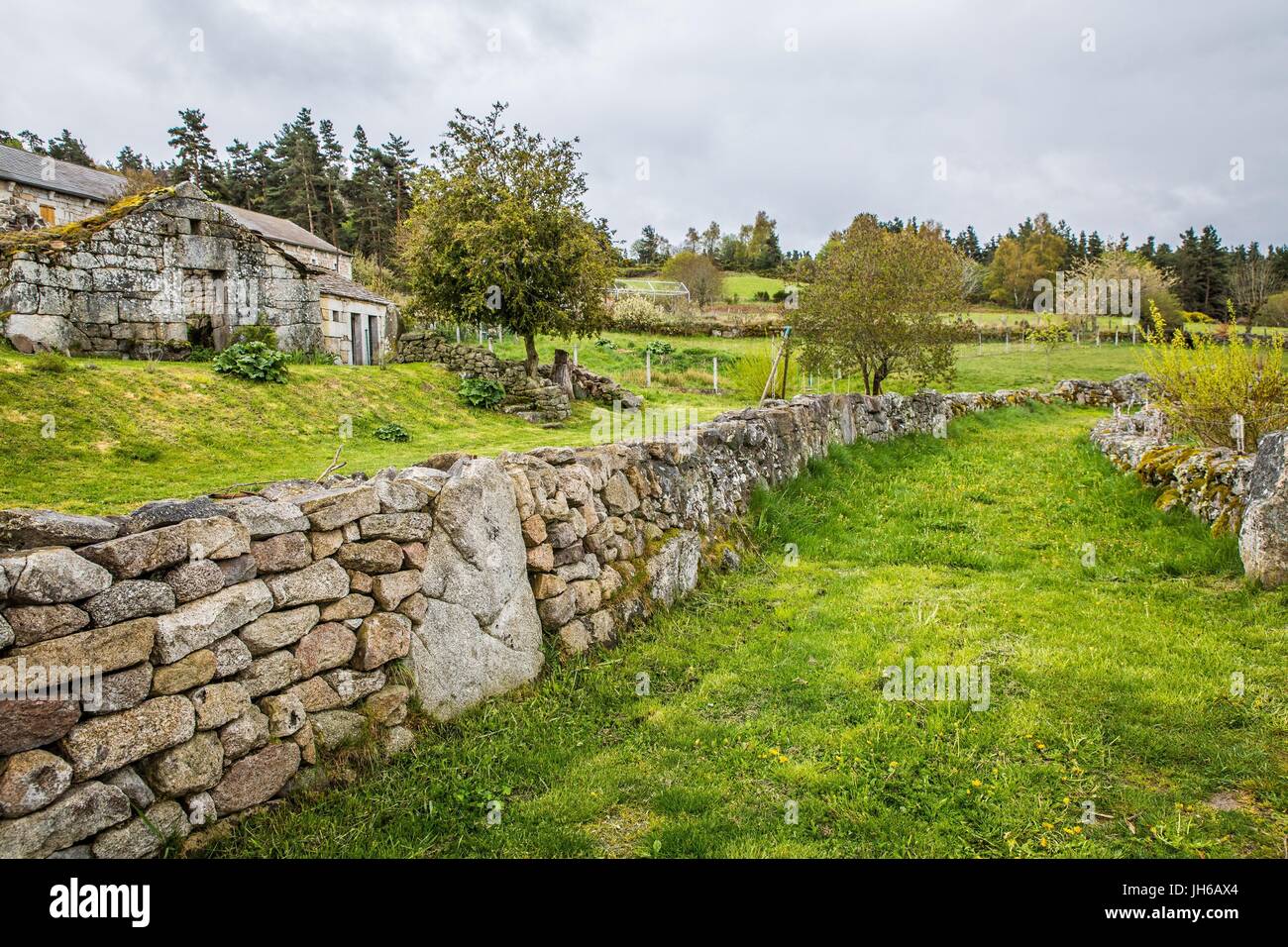 THE MAN-EATER OF GEVAUDAN,(48),LOZERE,REGION OF OCCITANIE,FRANCE Stock ...