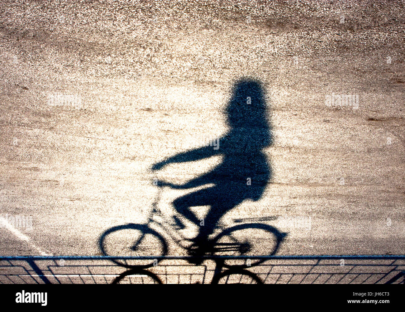 Blurry cyclist silhouette and shadow on a protected bike path in sunset ...