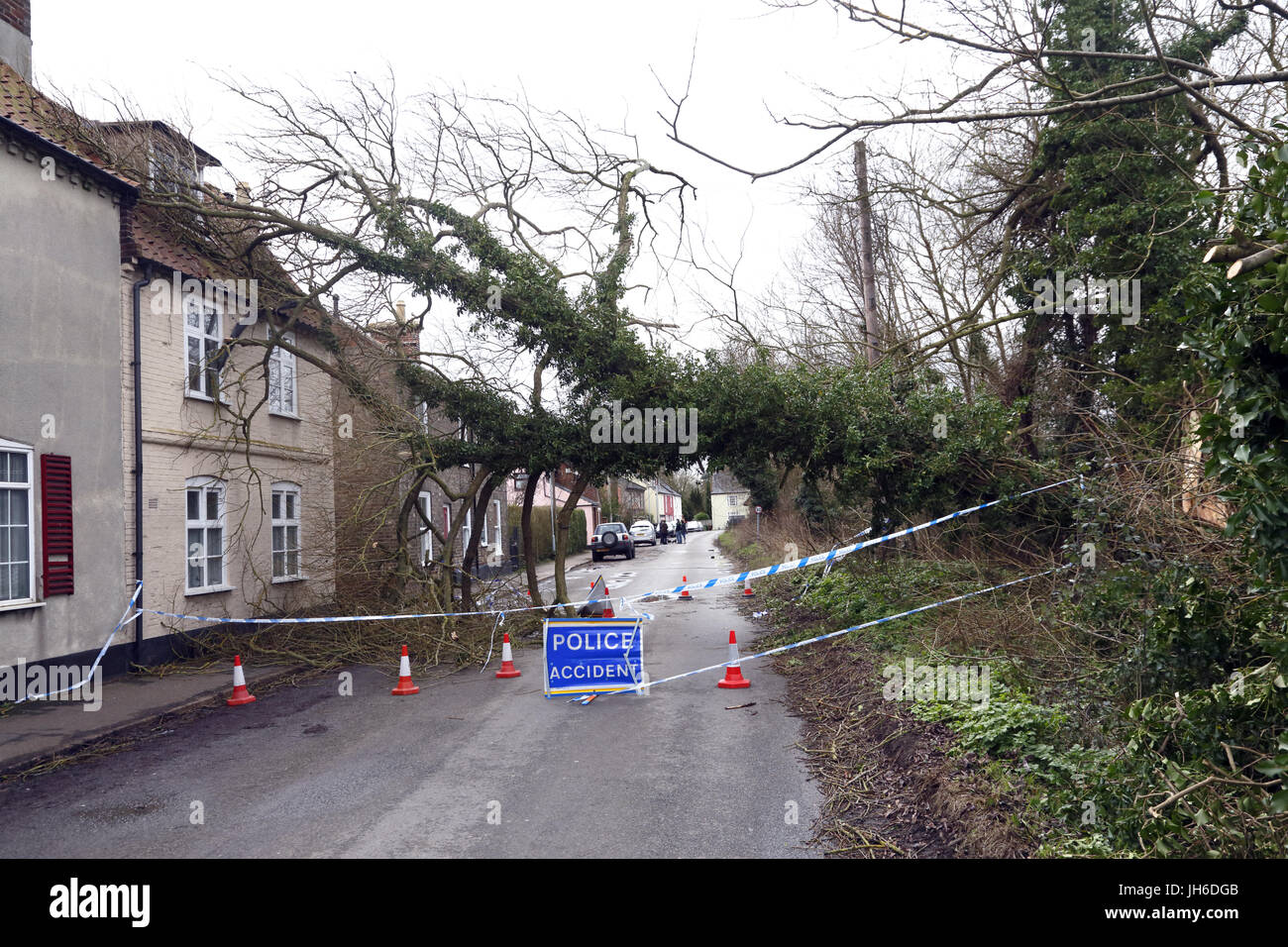 Fallen tree house hi-res stock photography and images - Alamy