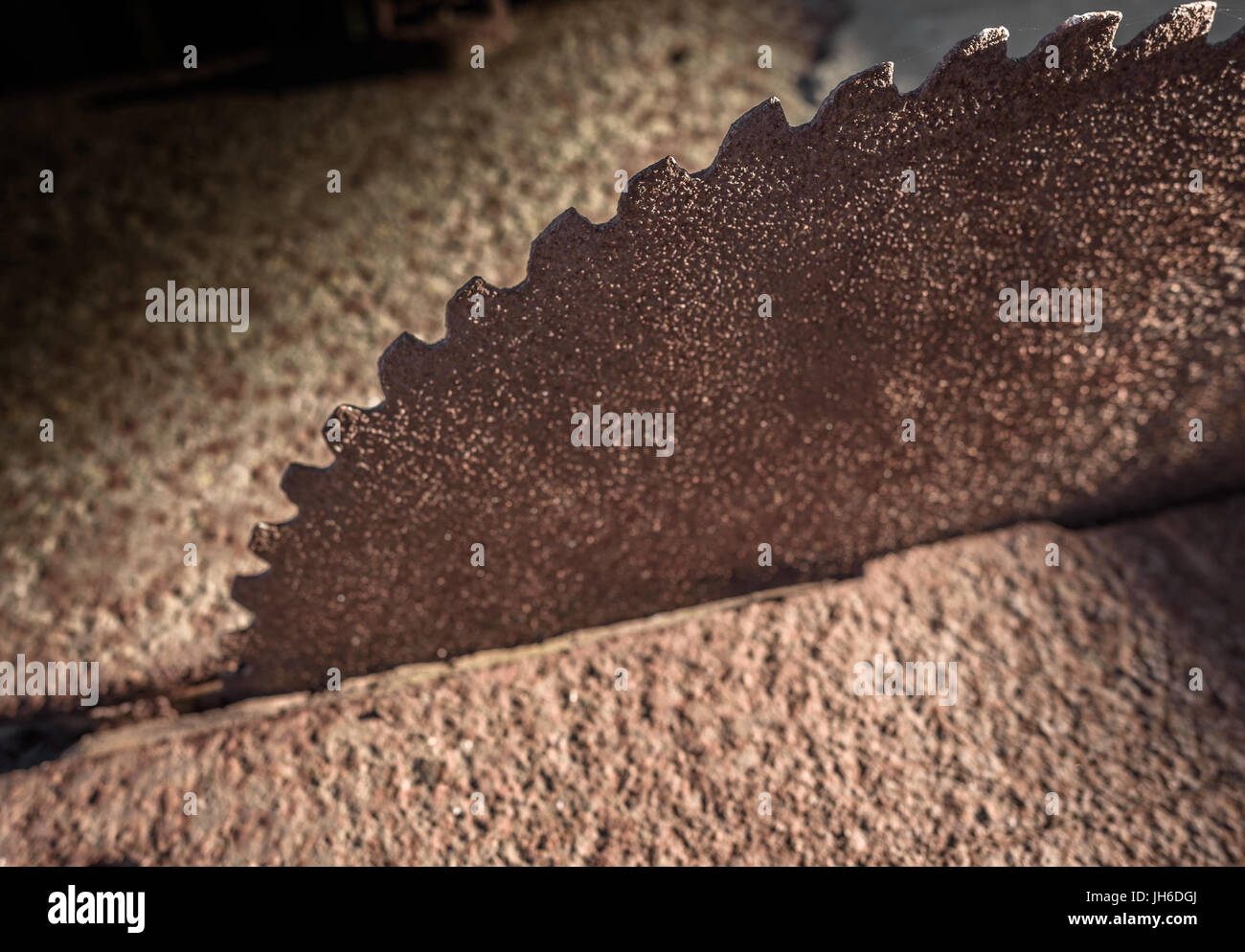 Rusty old circular saw blade Stock Photo - Alamy
