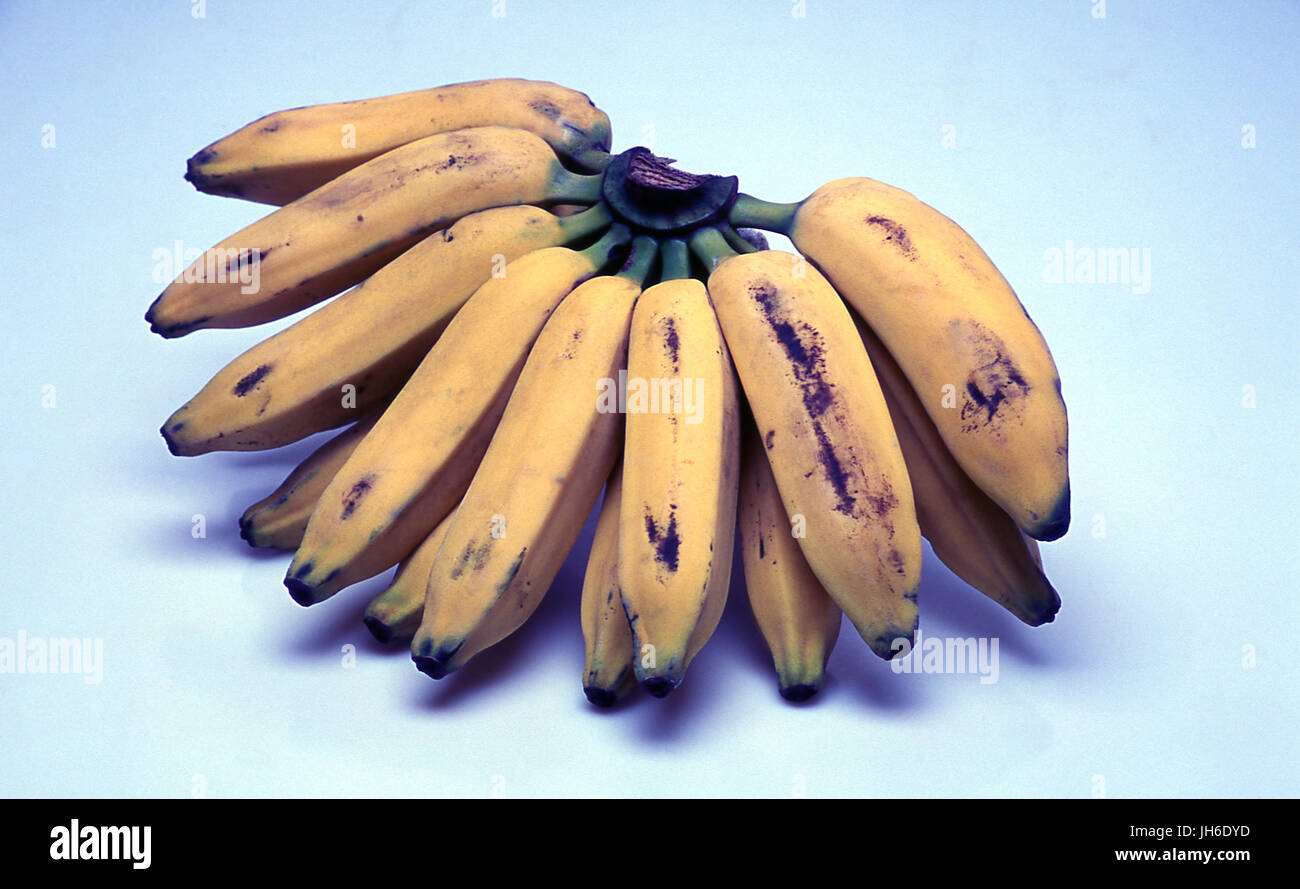 Stained banana hi-res stock photography and images - Alamy