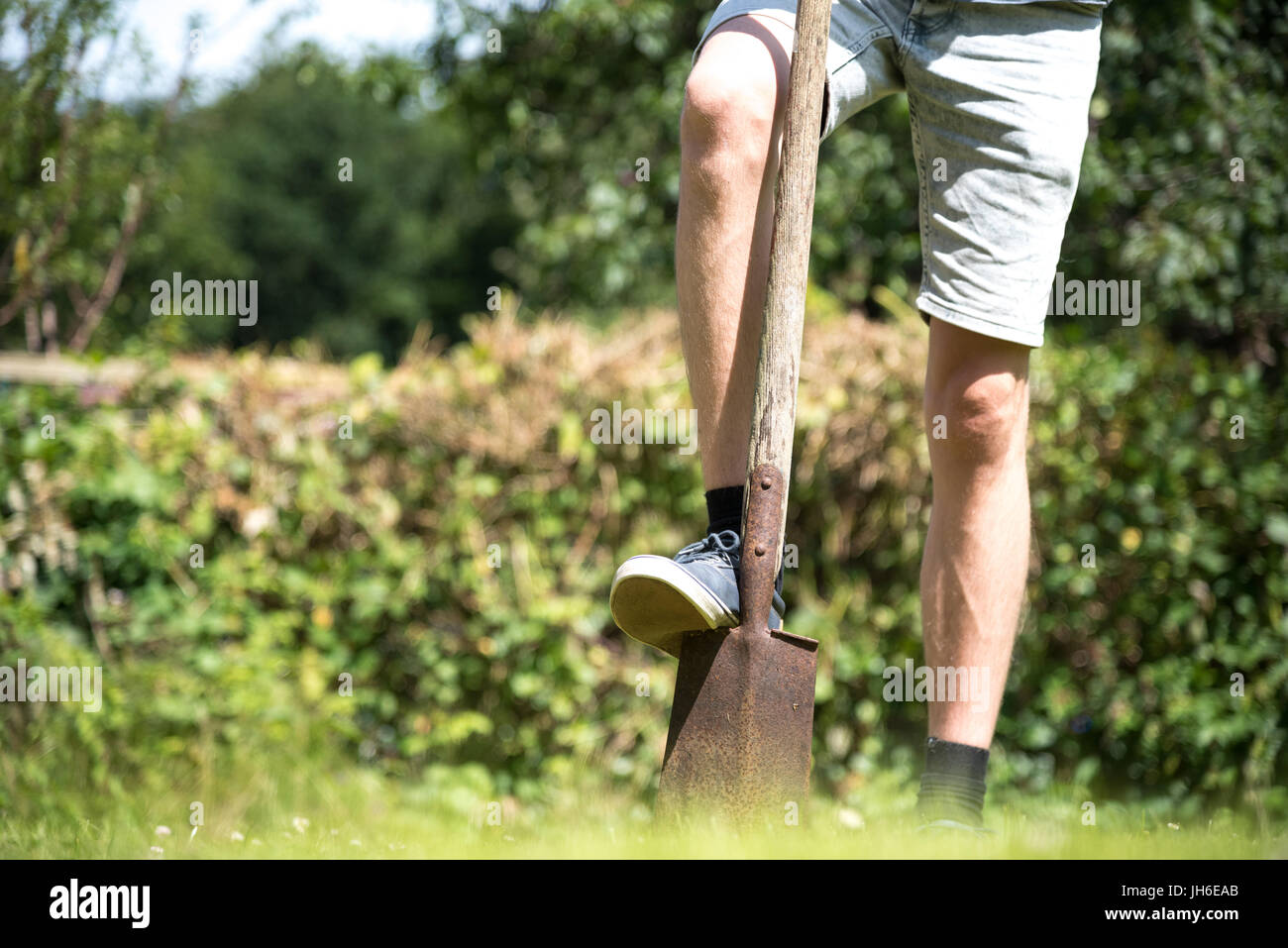 Man Digging Hole Stock Photos & Man Digging Hole Stock Images - Alamy