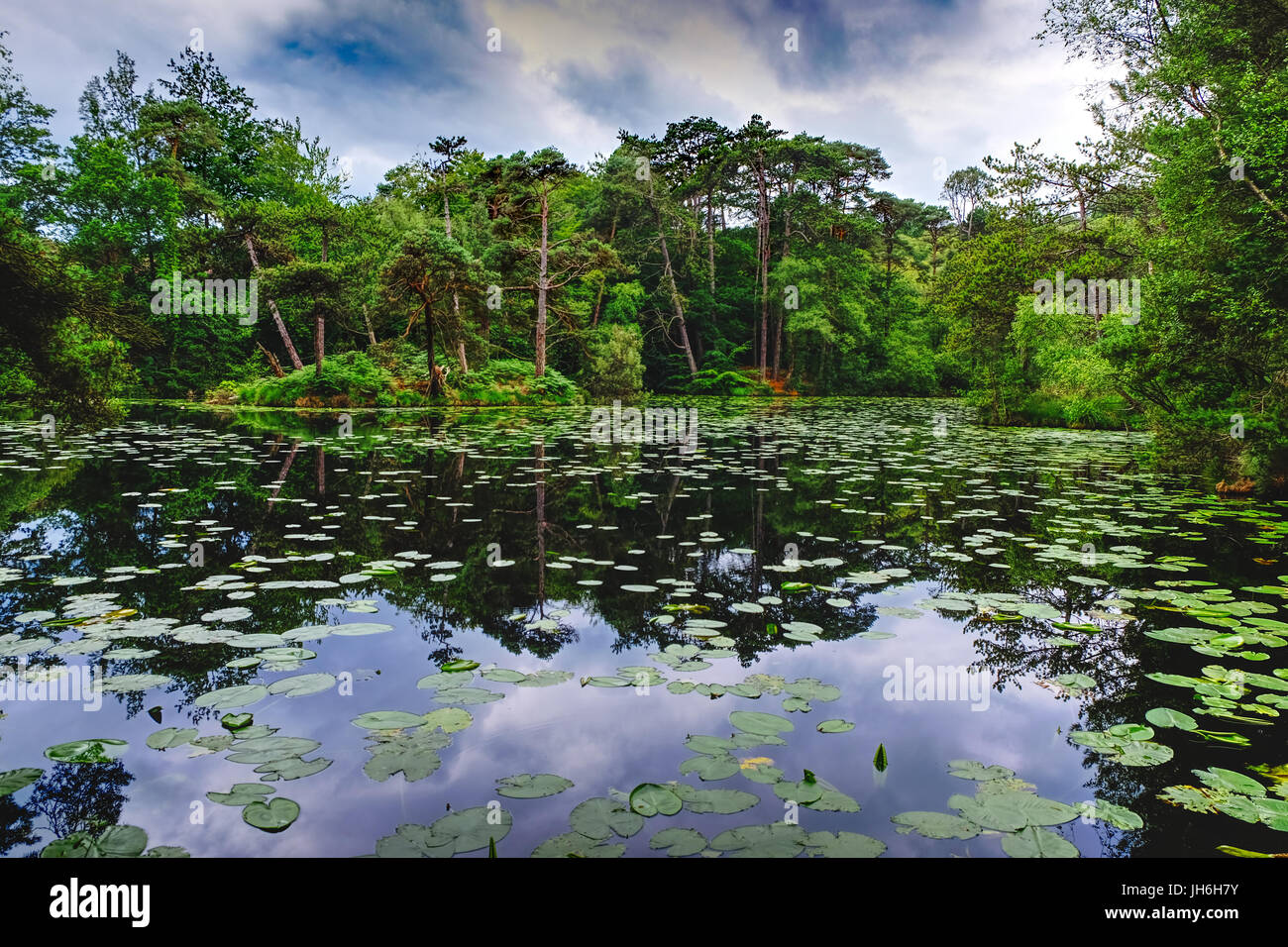 Bystock devon hi-res stock photography and images - Alamy
