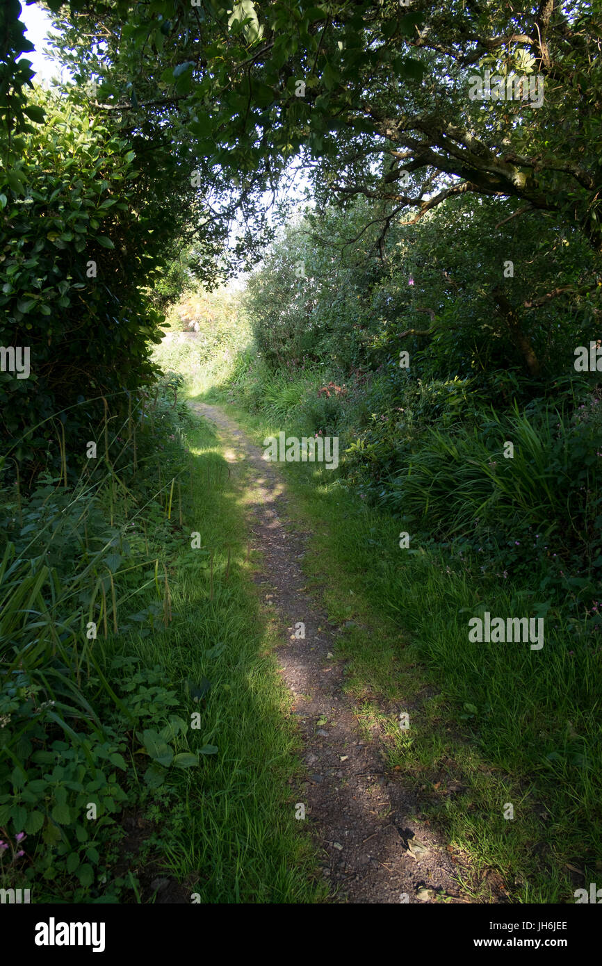 Public footpath in the Germoe area of Cornwall, U.K Stock Photo - Alamy