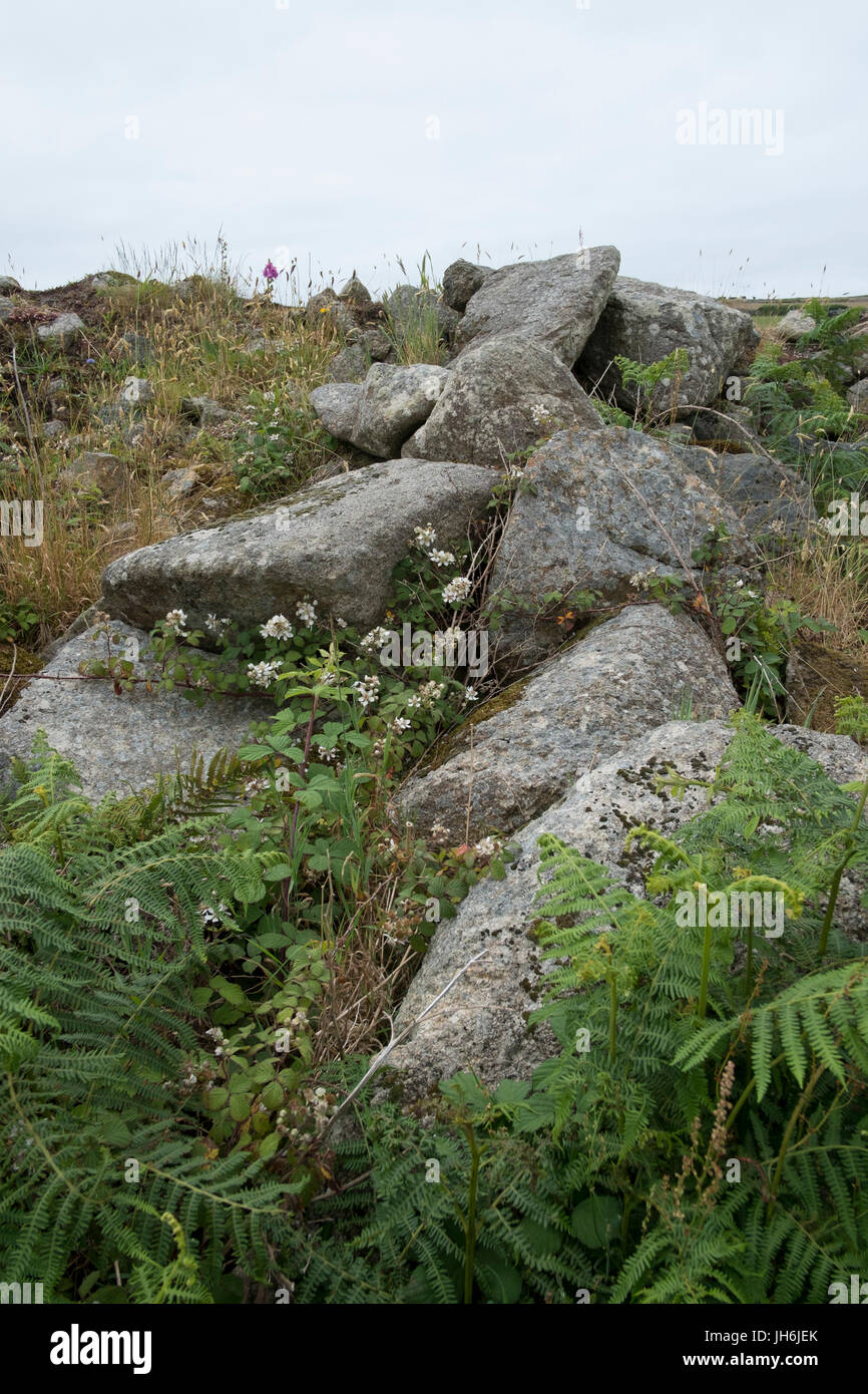 View of a stone and earth wall known as a Cornish hedge Stock Photo - Alamy