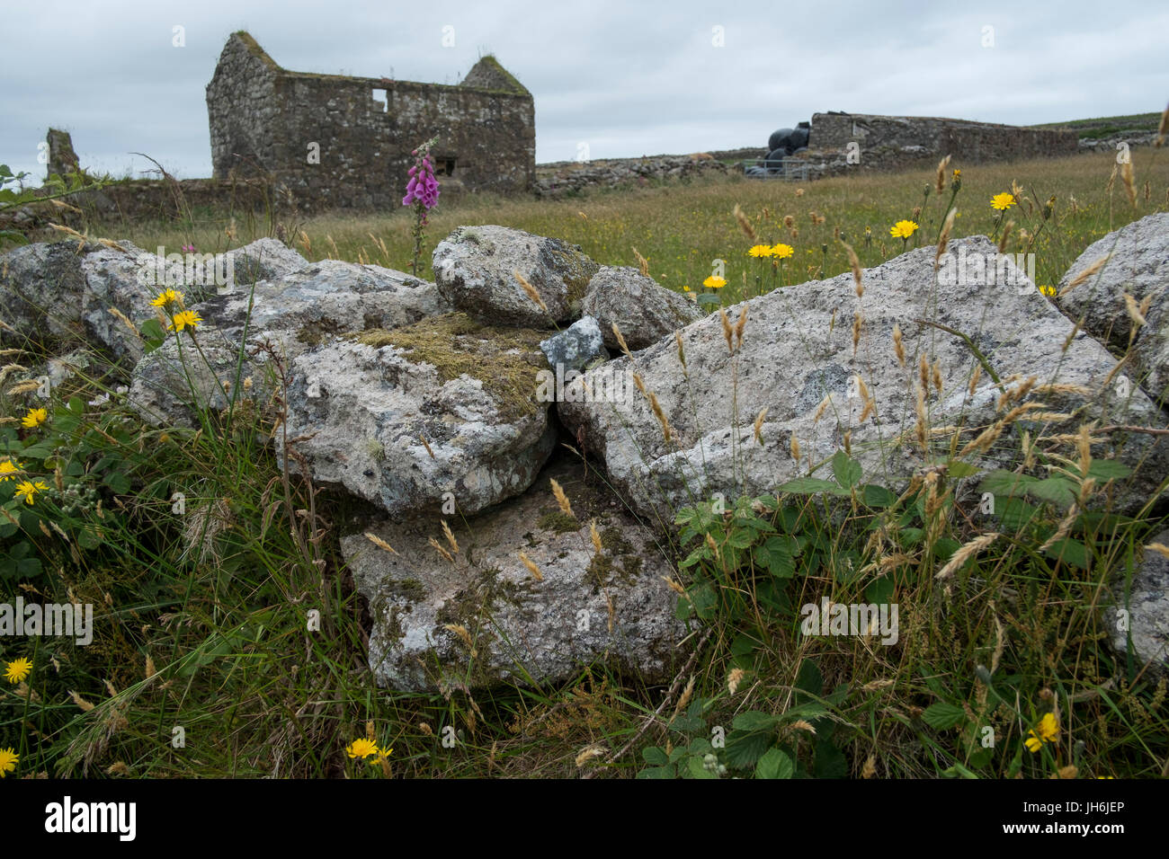 Cornish hedge hi-res stock photography and images - Alamy
