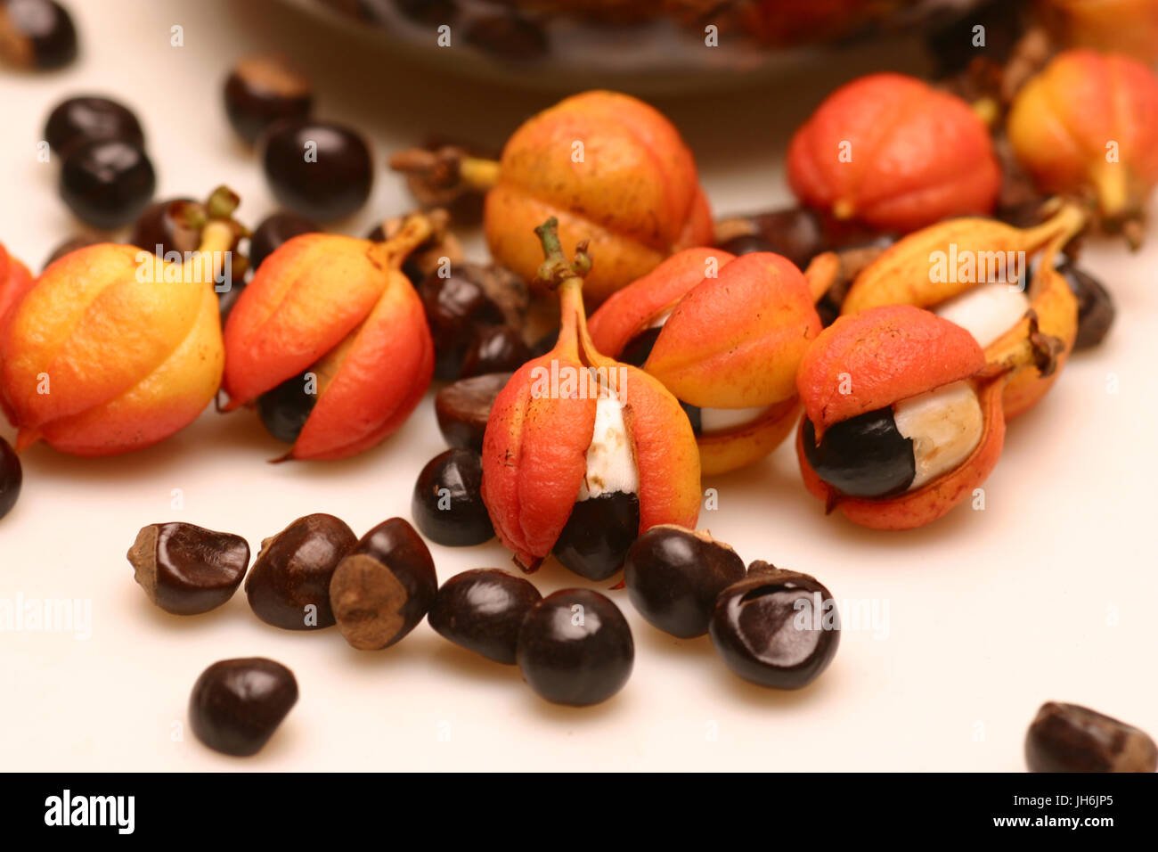 Guarana fruit hi-res stock photography and images - Alamy