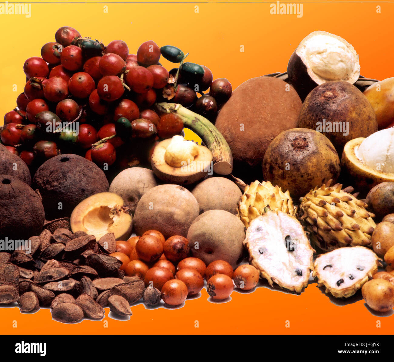 Guarana fruit hi-res stock photography and images - Alamy