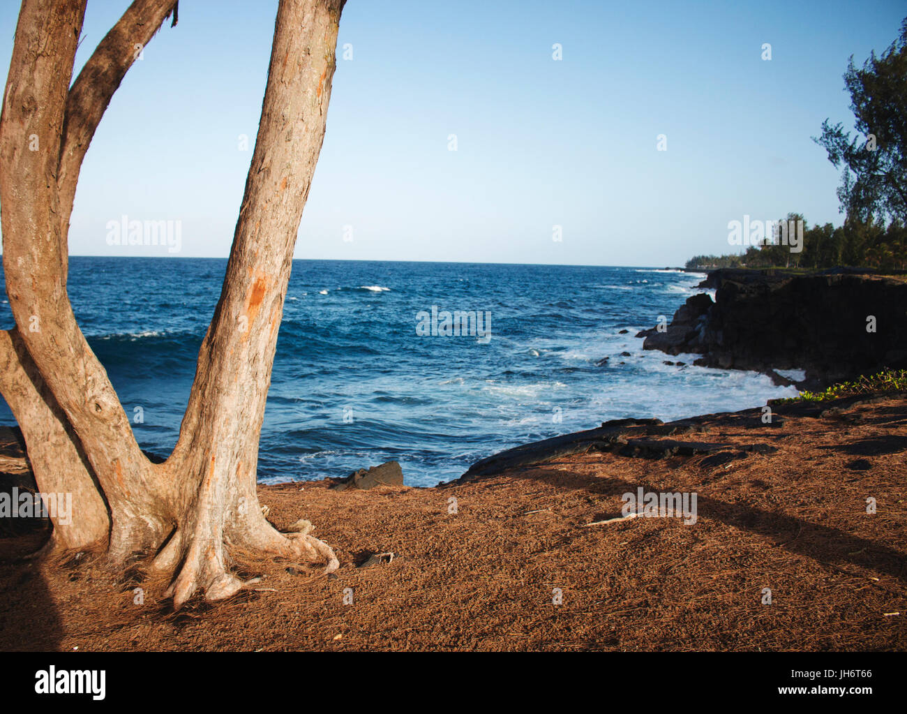 Ocean view in Hawaii Stock Photo - Alamy