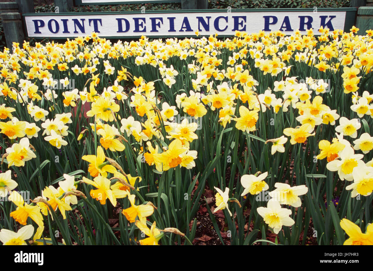 Point defiance park and tacoma hi-res stock photography and images - Alamy