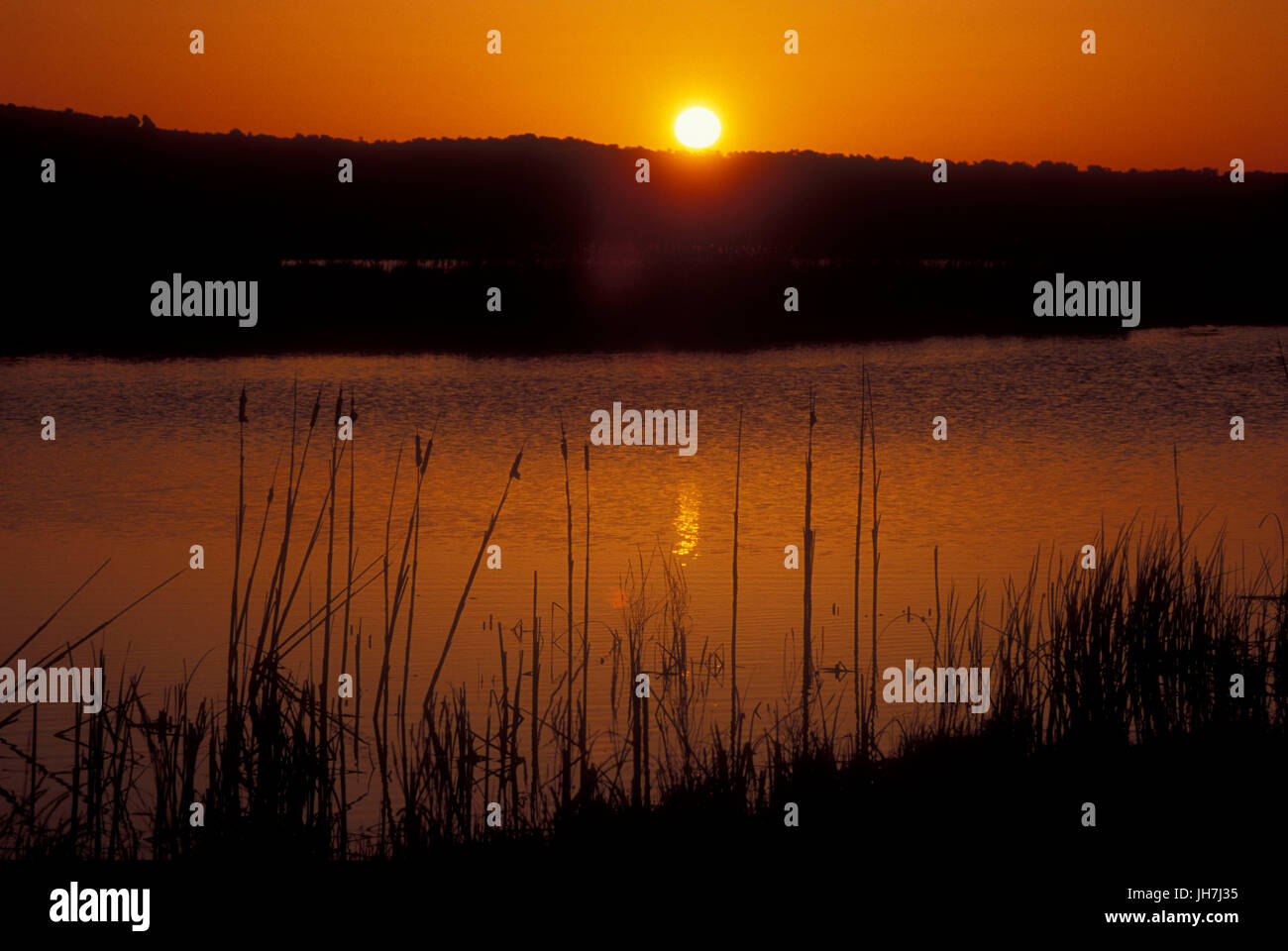 Stan Coffin Lake sunrise, Quincy Wildlife Area, Washington Stock Photo ...