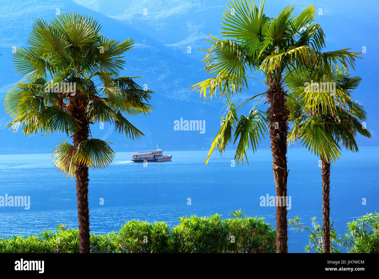 Palm tree on lake hi-res stock photography and images - Alamy