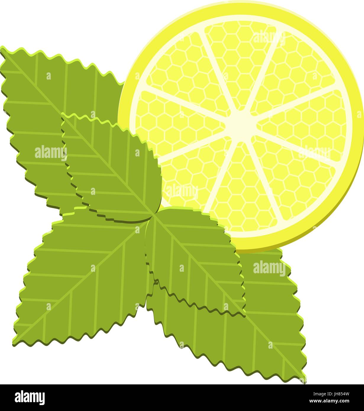 Minty lemonade Stock Vector Images - Alamy