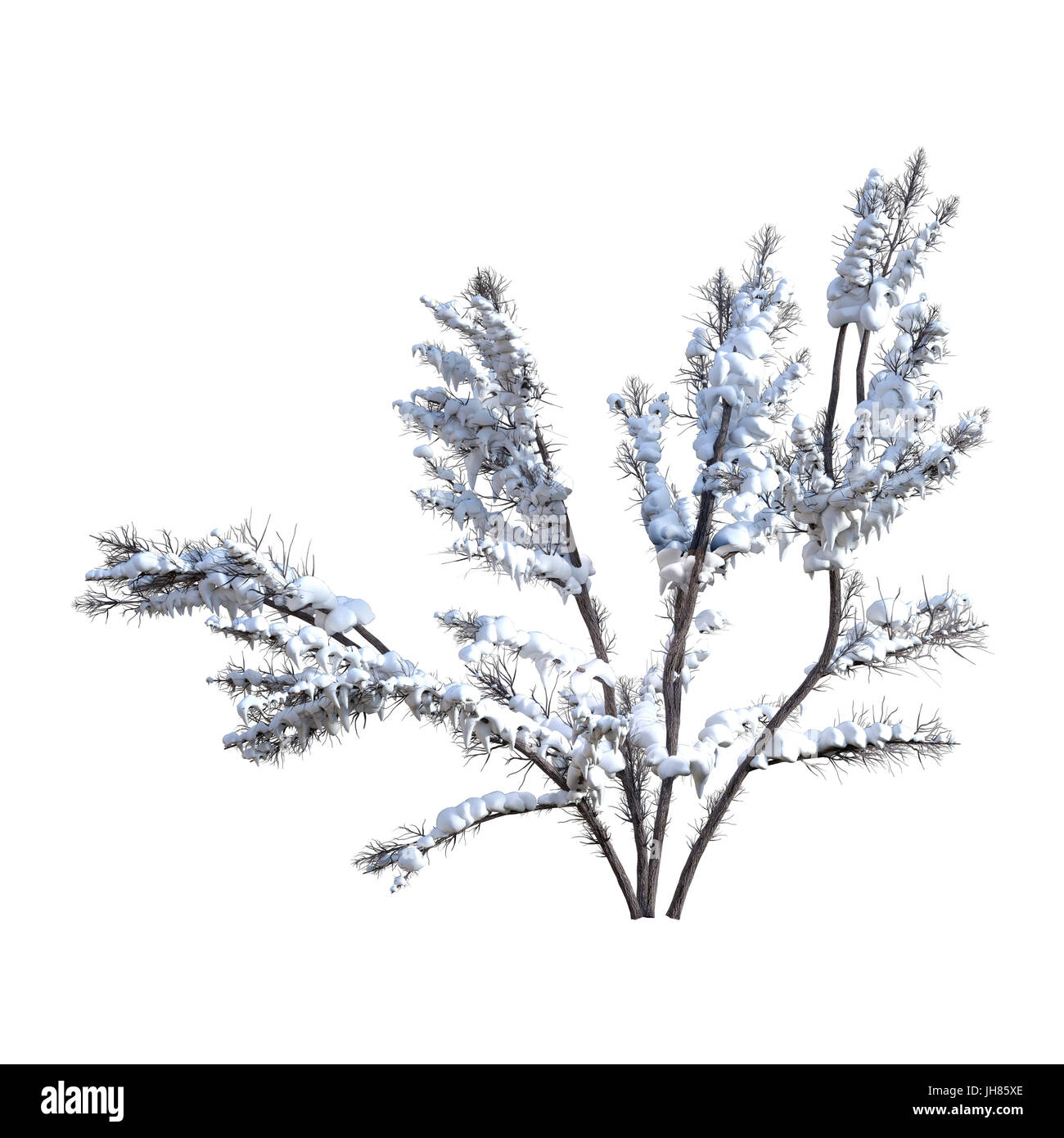 3D rendering of a bush under snow isolated on white background Stock ...