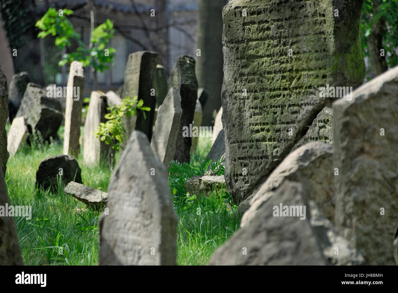 Prague jewish cemetary hi-res stock photography and images - Alamy