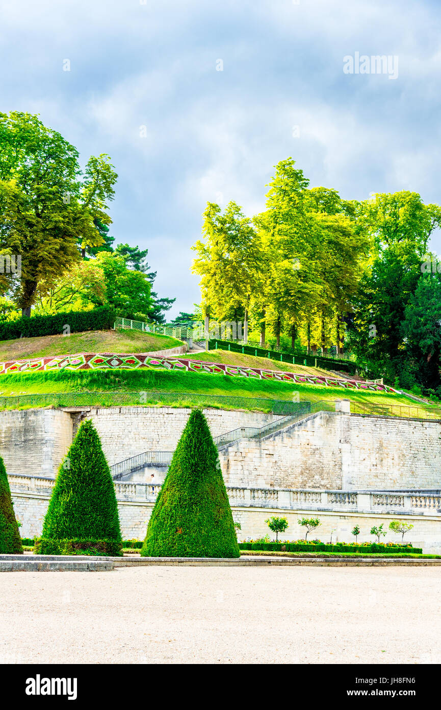 Beautiful rows of yew trees within Parc Saint-Cloud located mostly ...