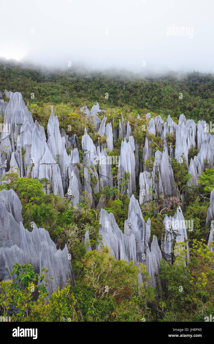 Gunung mulu national park hi-res stock photography and images - Alamy