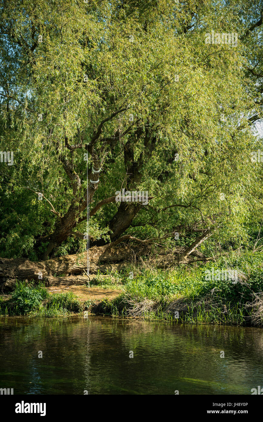Beautiful English countryside river landscape with shallow depth of ...